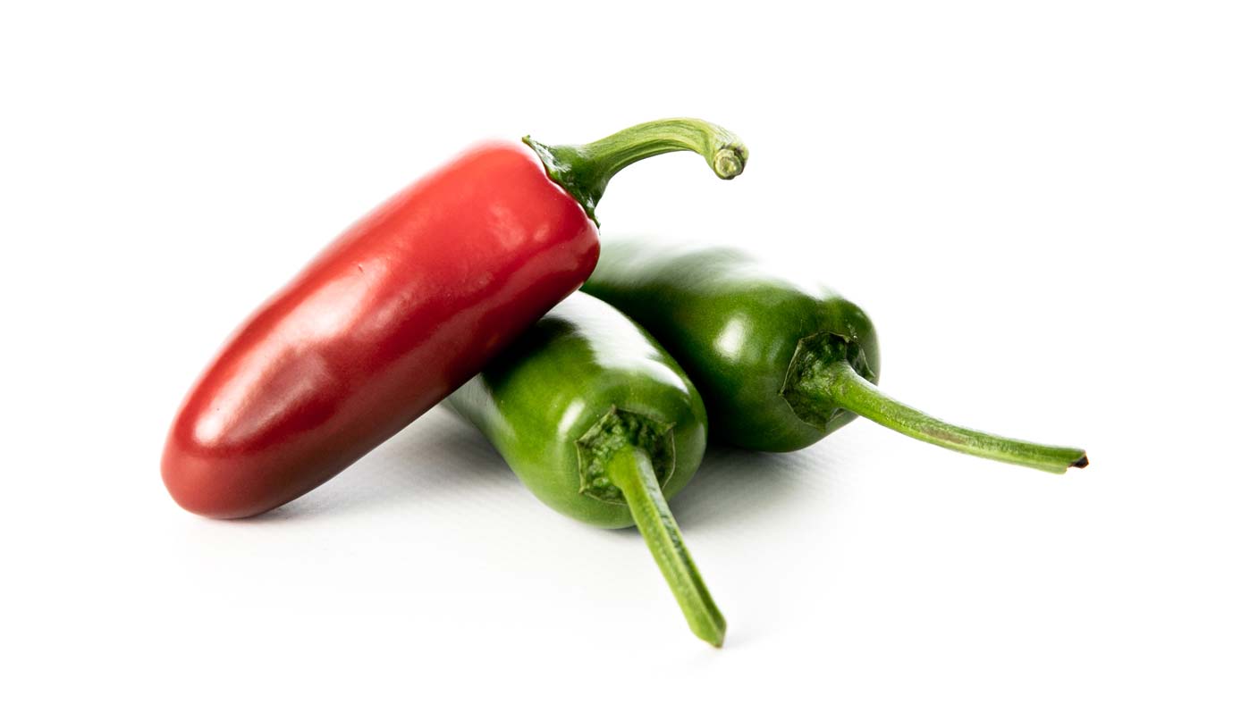 About Eminent Seeds - Eminent Seeds